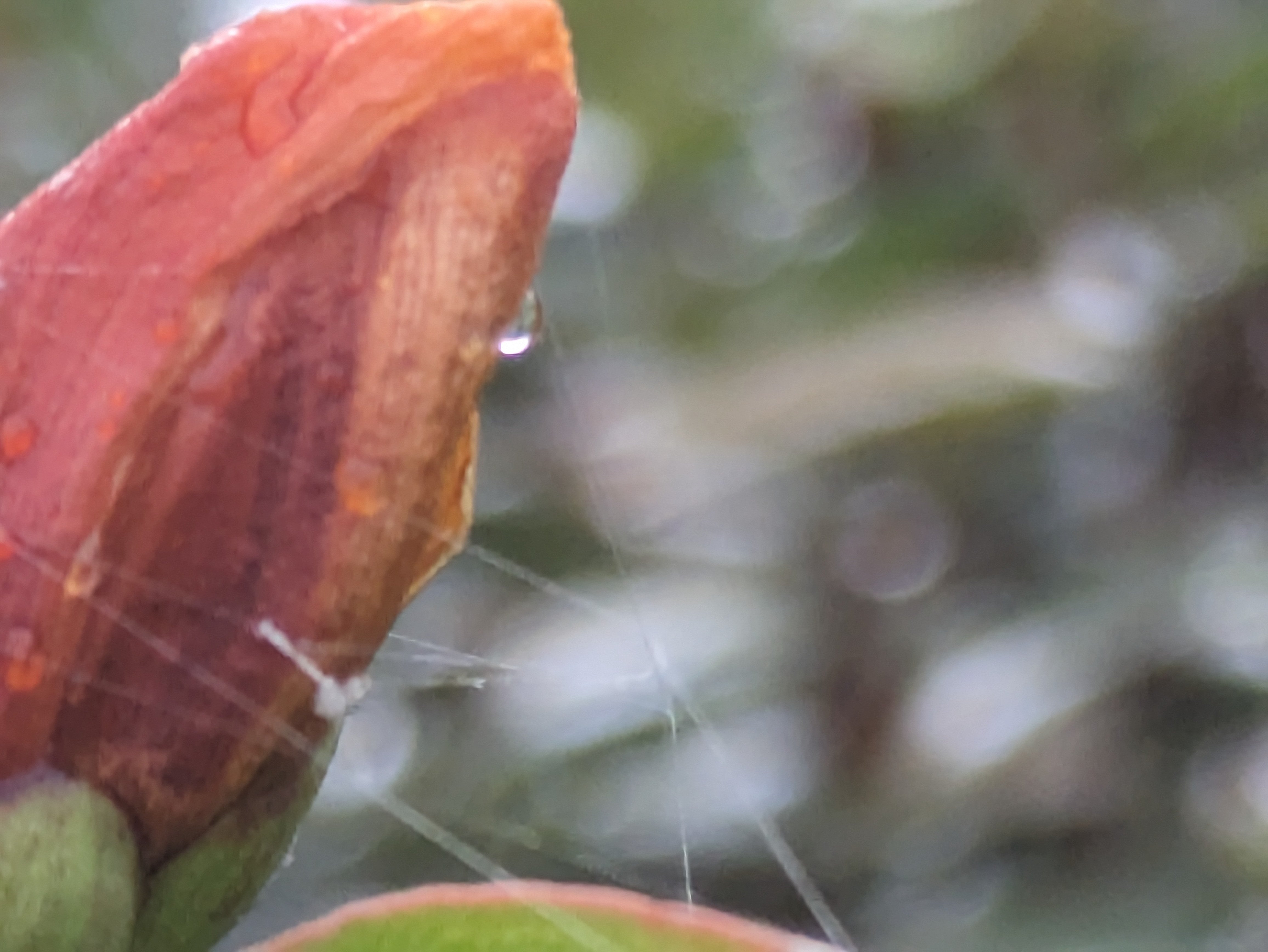 気になる ①｜ichiro70