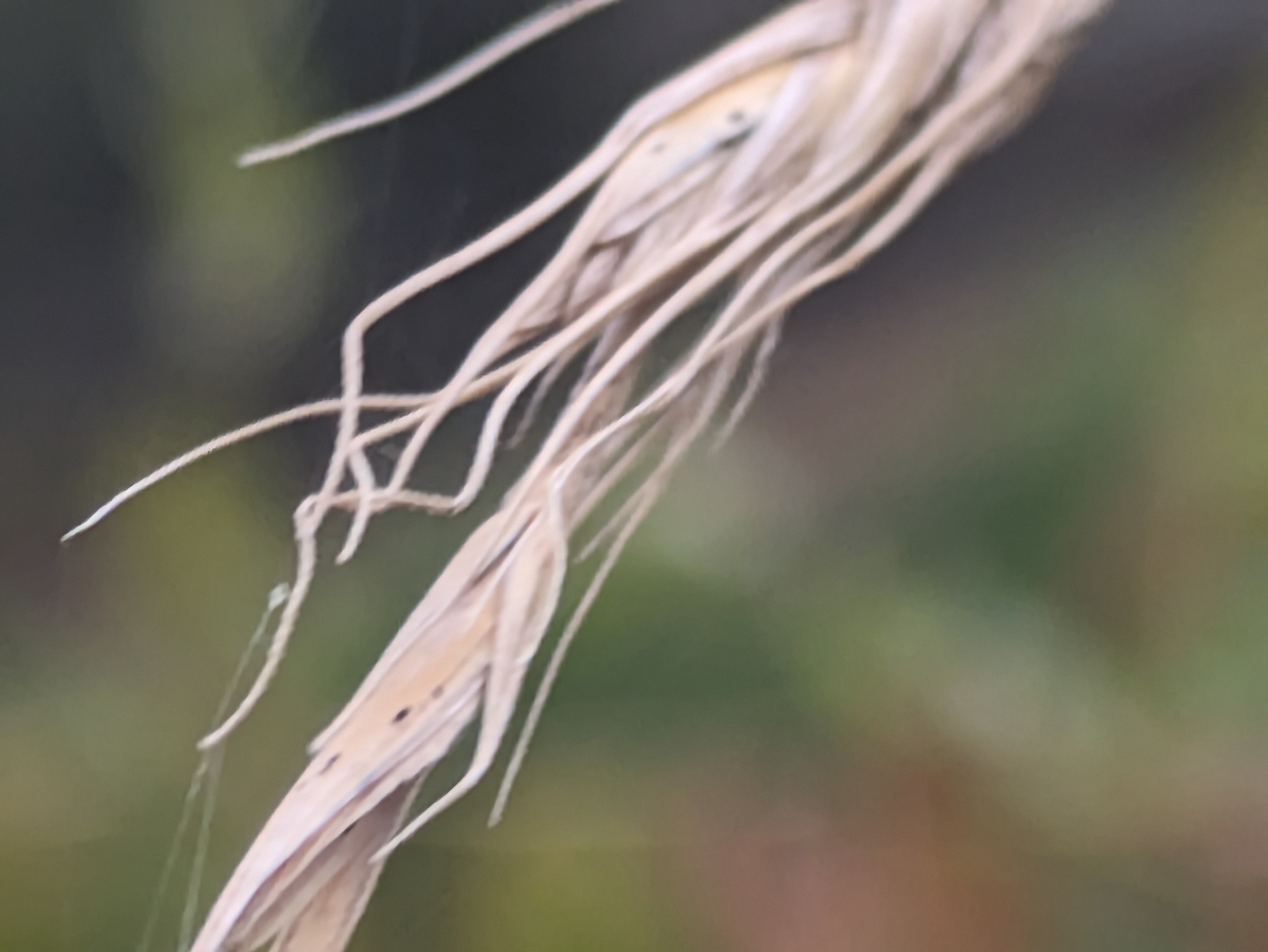 気になる ②｜ichiro70