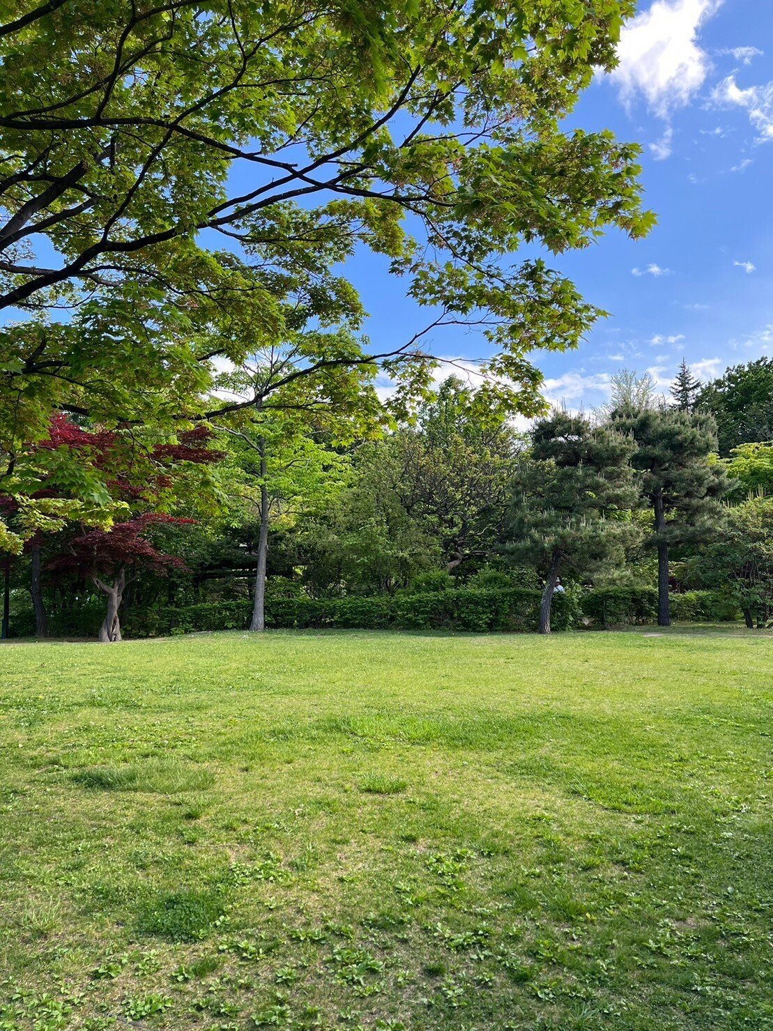 夜明け前、うごめく生命のような世界-DANROを描く-｜DANRO inc.