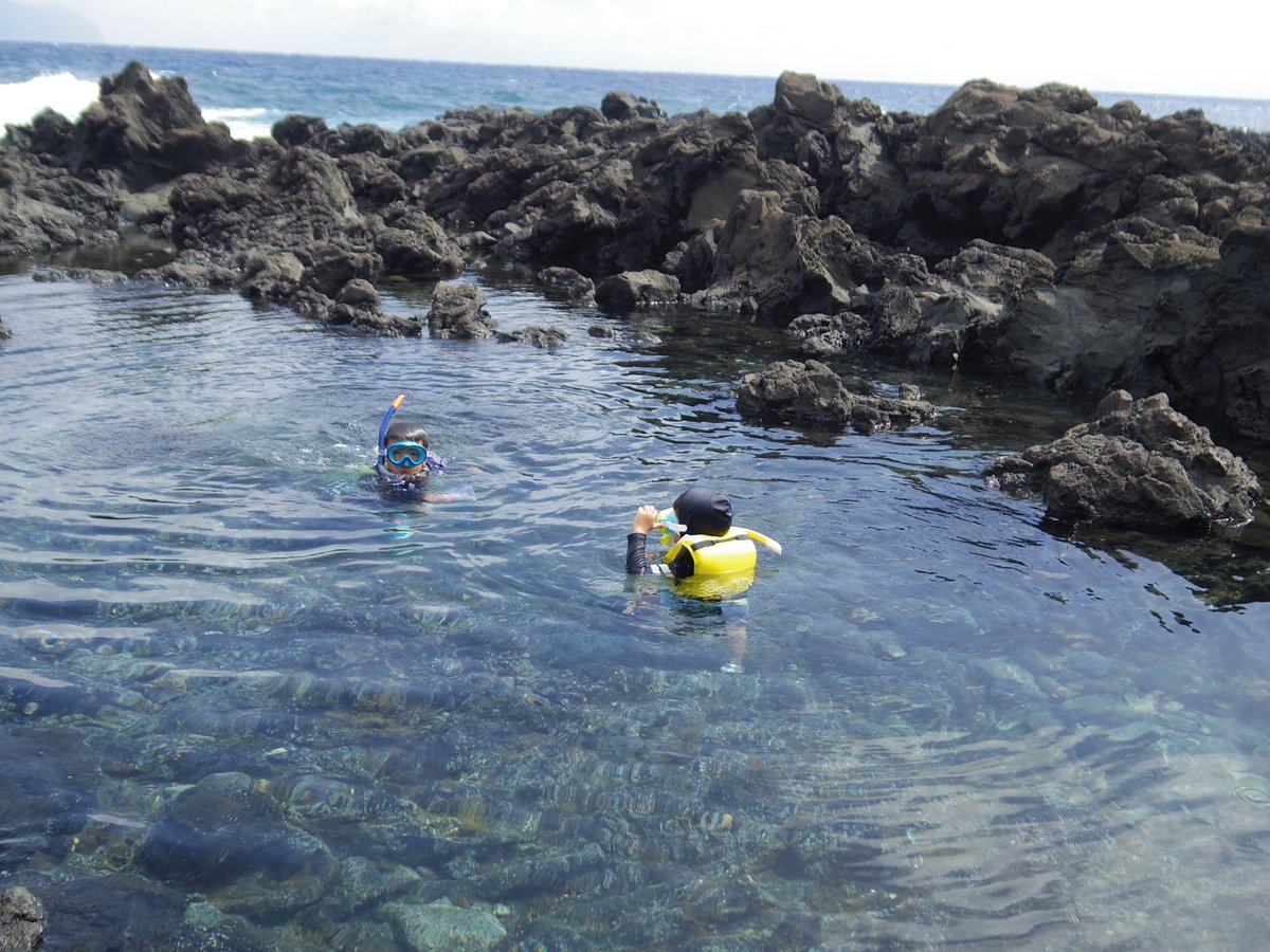Bassfishing in TAIRO-IKE｜stumpmaster