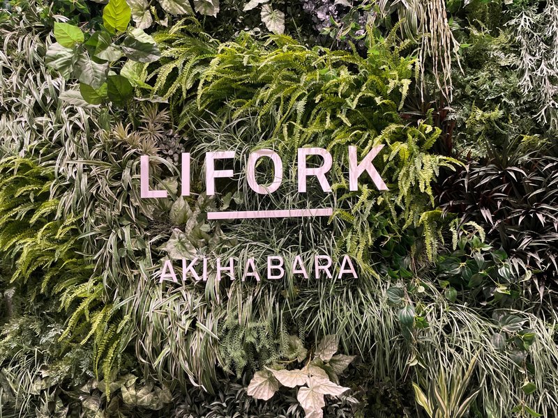 秋葉原のゲートウェイ、「LIFORK秋葉原」から（東京都千代田区）｜山本 清人 / Kiyohito Yamamoto