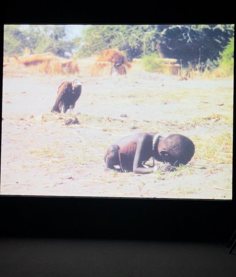 イメージの消費者、生産者としての責任（MOCA, Alfredo Jaar, 11th Hiroshima Art Prize） ｜Shiryu | ヘラルボニー