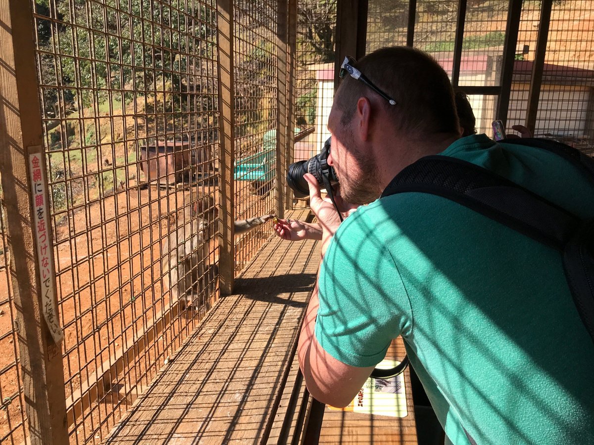 外国人向けツアーガイド、4年の経験と案内のコツをまとめてみた｜Yuki Taniguchi | インバウンド業界の人