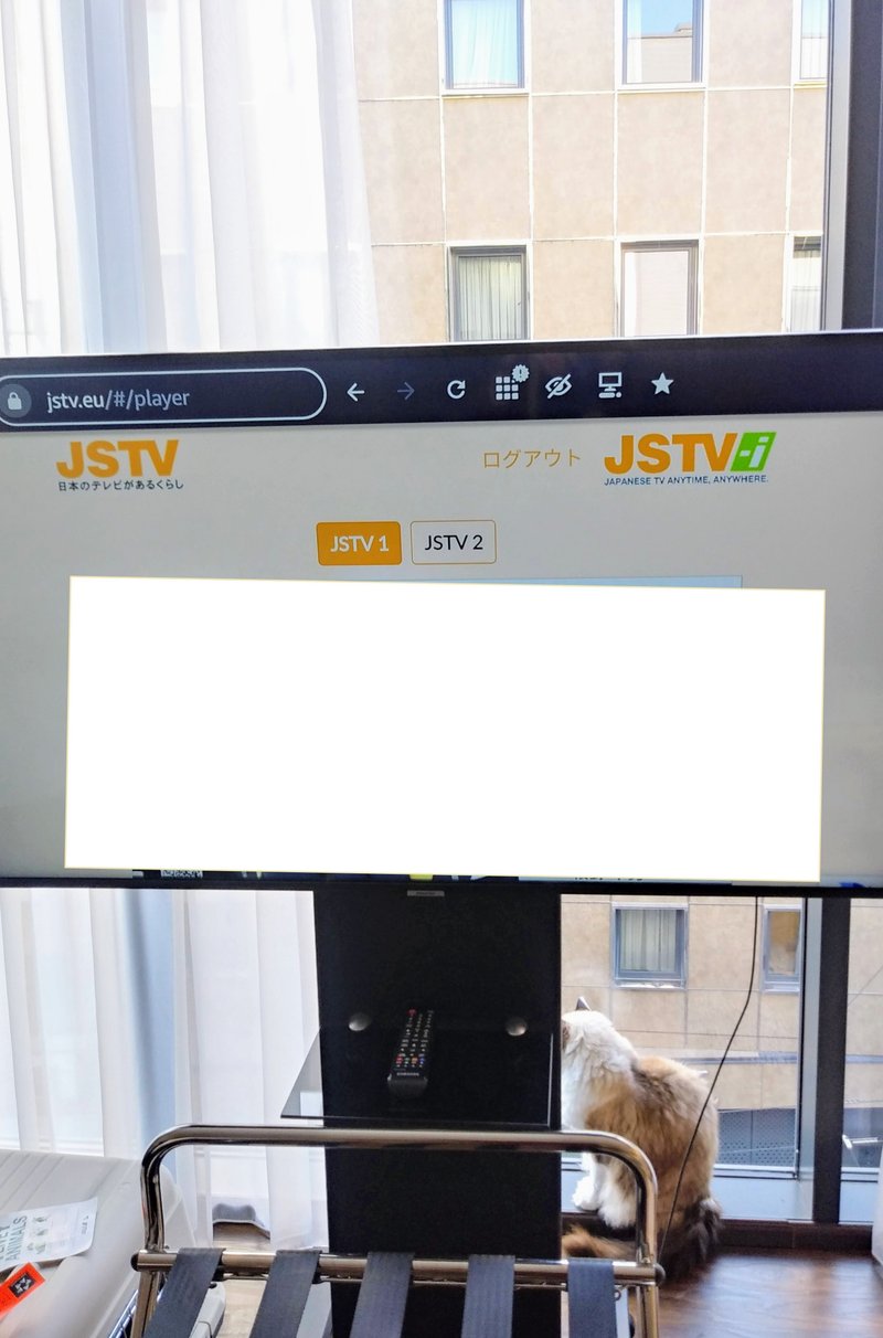 ＜JSTV＞終了につき熱い思いを語ります｜Catzania