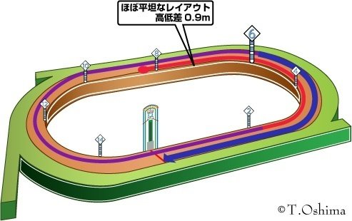 8/13(日) 札幌競馬場 切り抜きDATA(展開注目データ＆好調馬チェック)｜JRDB 競馬アラカルト