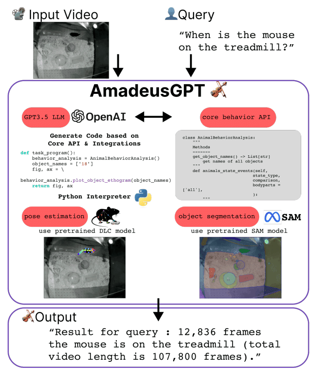 AmadeusGPT: 大規模言語モデルは行動解析も変えるのか?｜えぬ