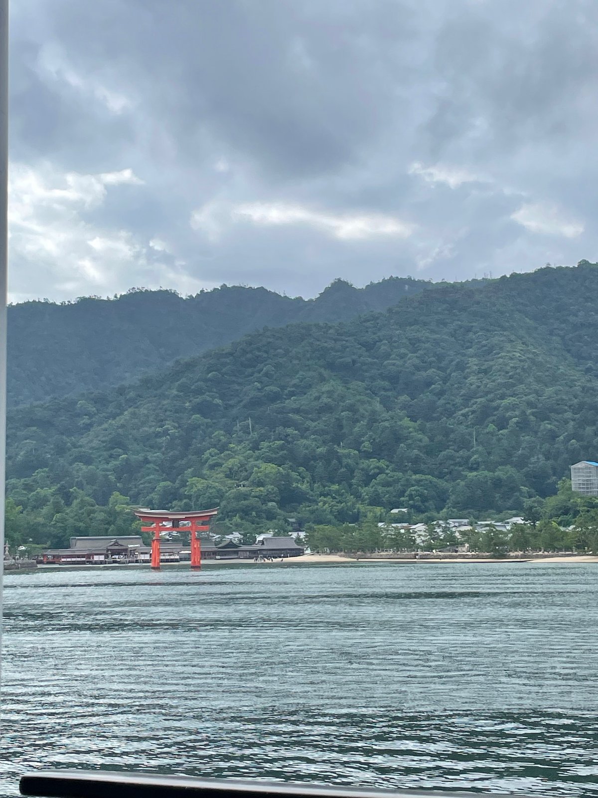 僕は生牡蠣が食べたかっただけ。｜haruya