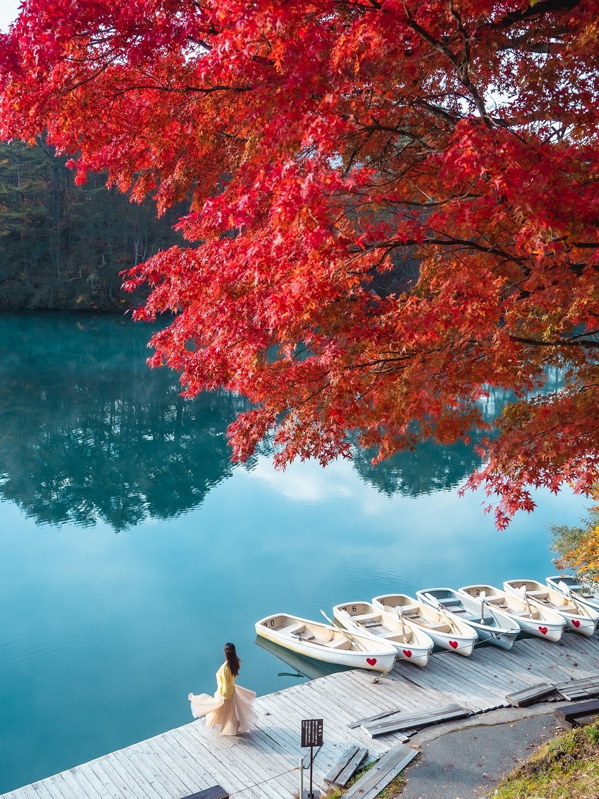 強力な手ぶれ補正のおかげで表現の幅が広がるOM SYSTEM - momoco｜OM SYSTEM