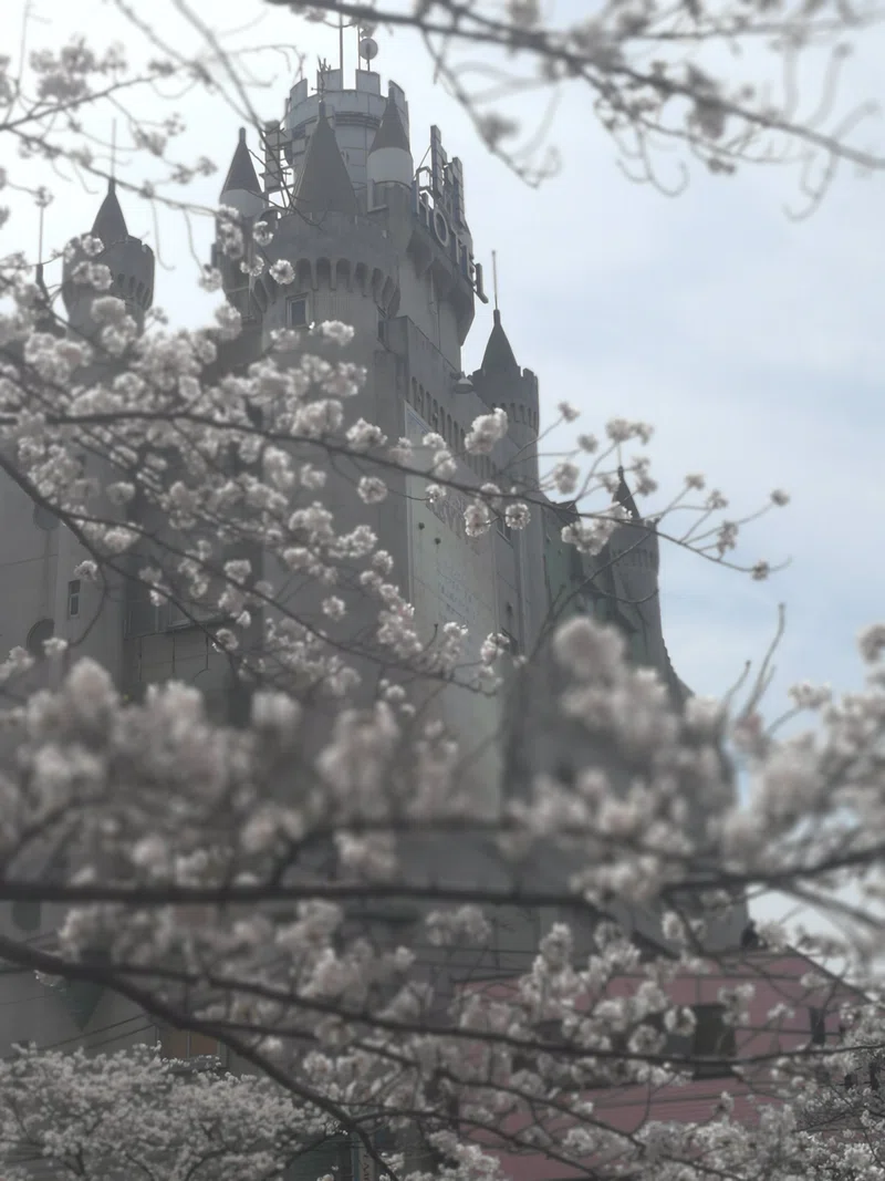 Legendary Hotel "Hotel Meguro Emperor" Photo Gallery (3)｜hotel_meguro ...