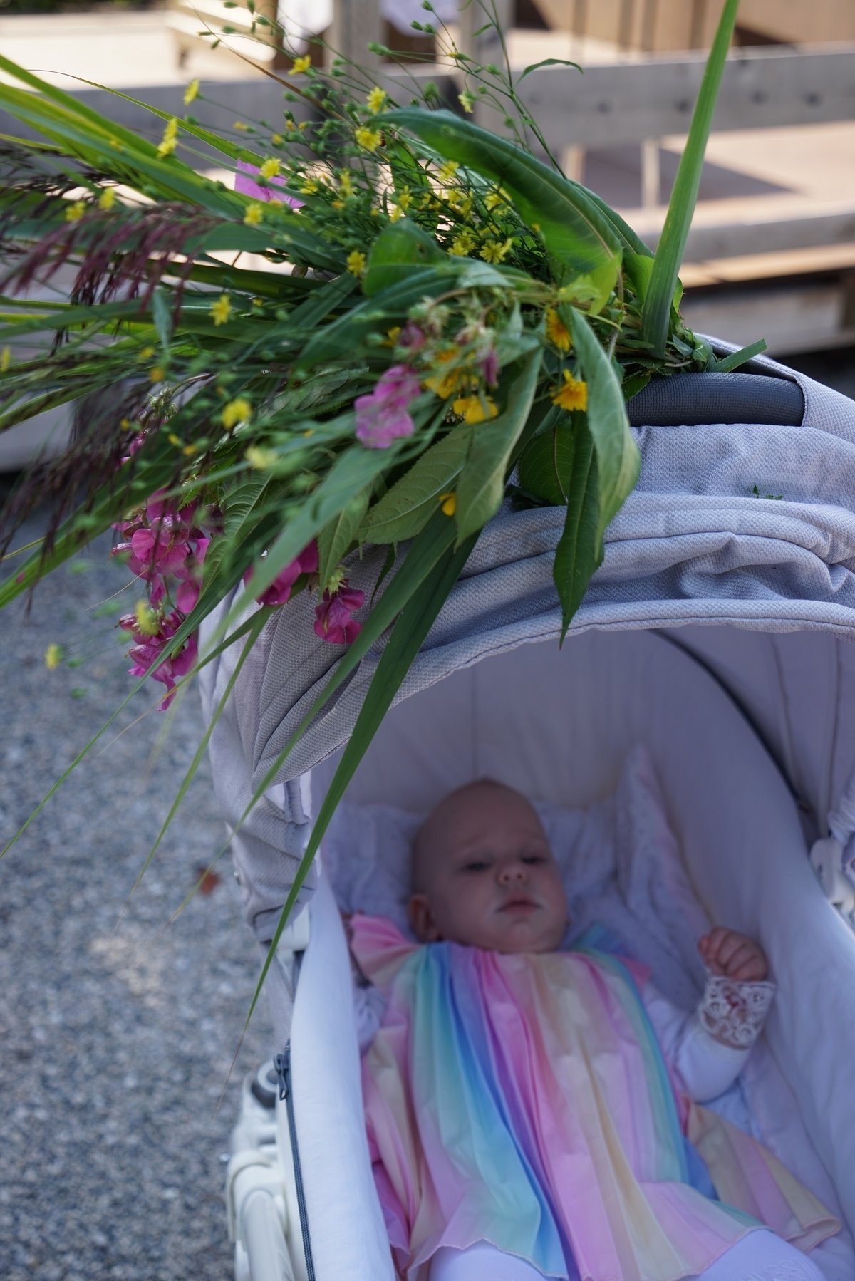 聖母の被昇天｜J plus S