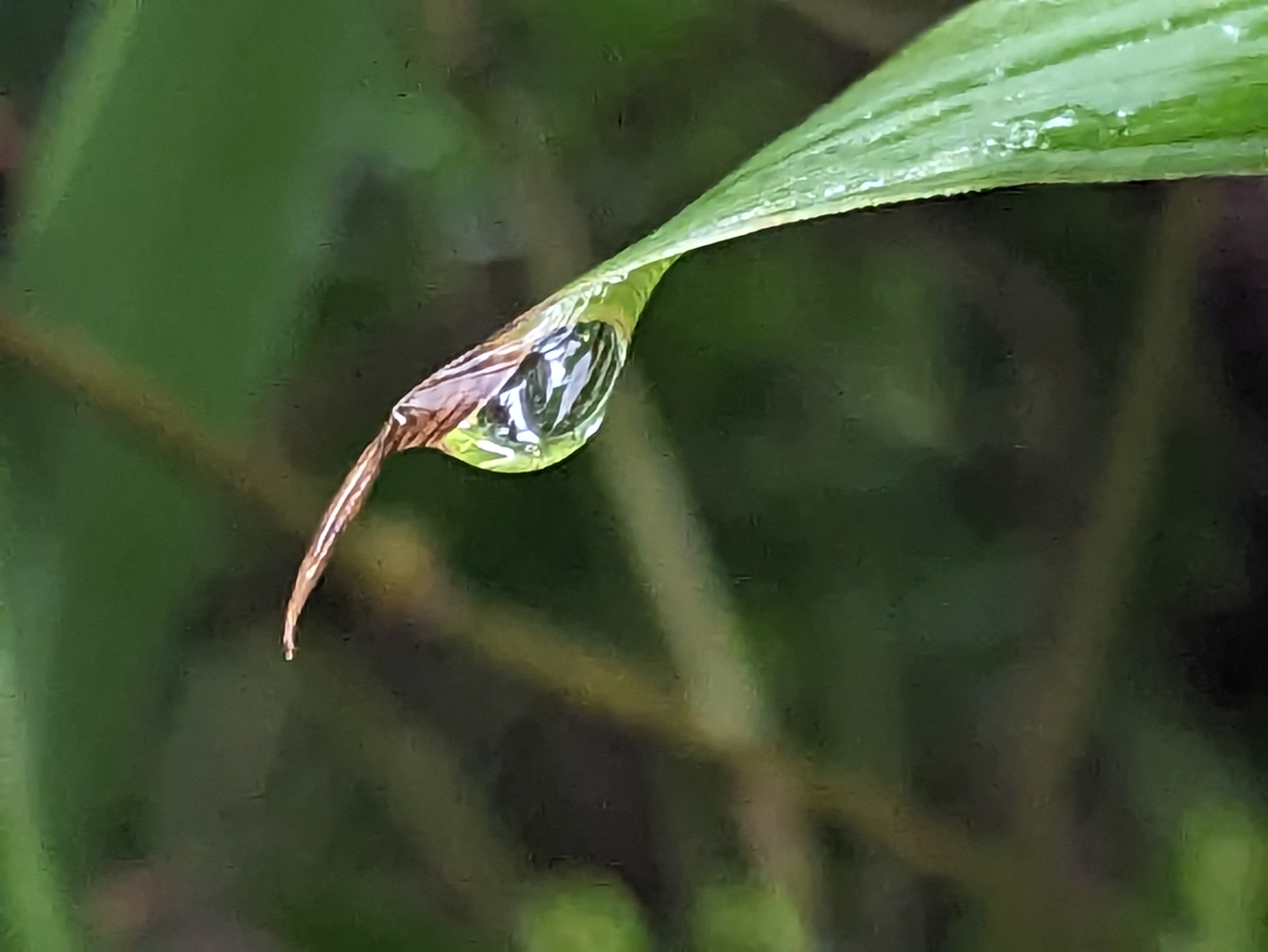にわか雨のあと ②｜ichiro70