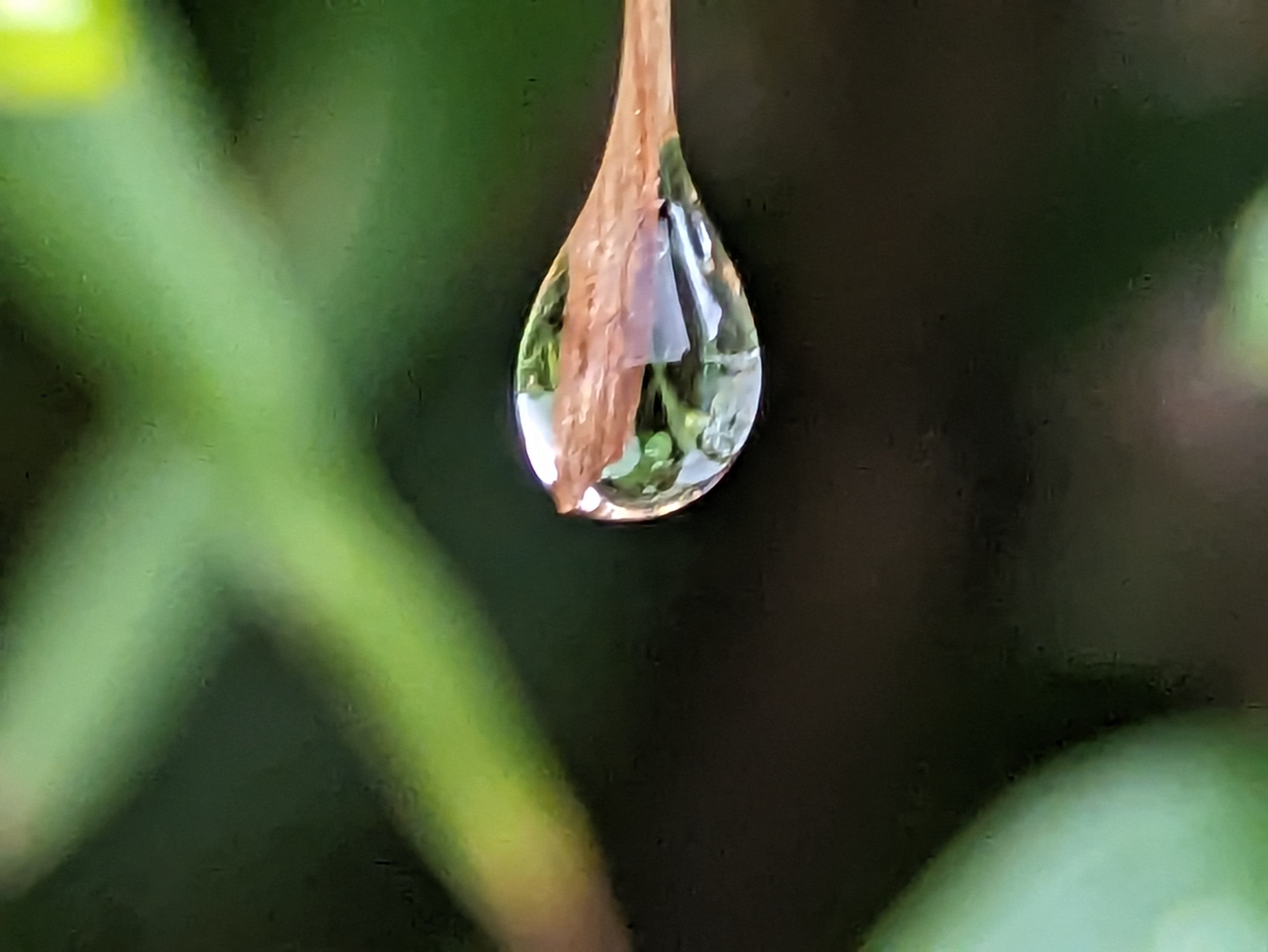 にわか雨のあと ②｜ichiro70