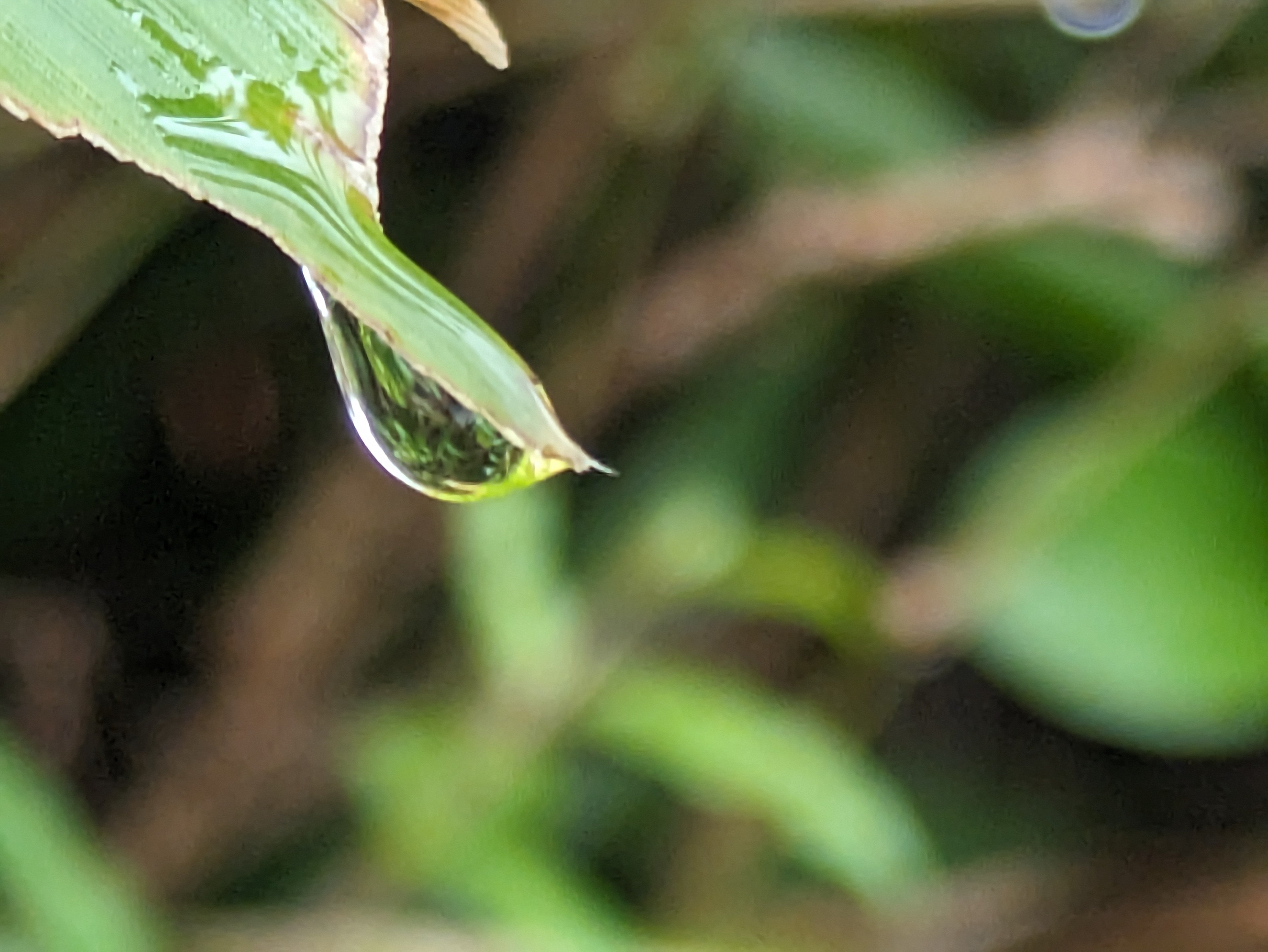 にわか雨のあと ②｜ichiro70