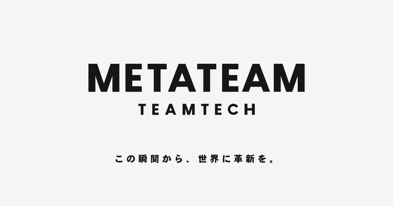 METATEAMの事業を紹介！チームを超越する会社とは？｜METATEAM株式会社