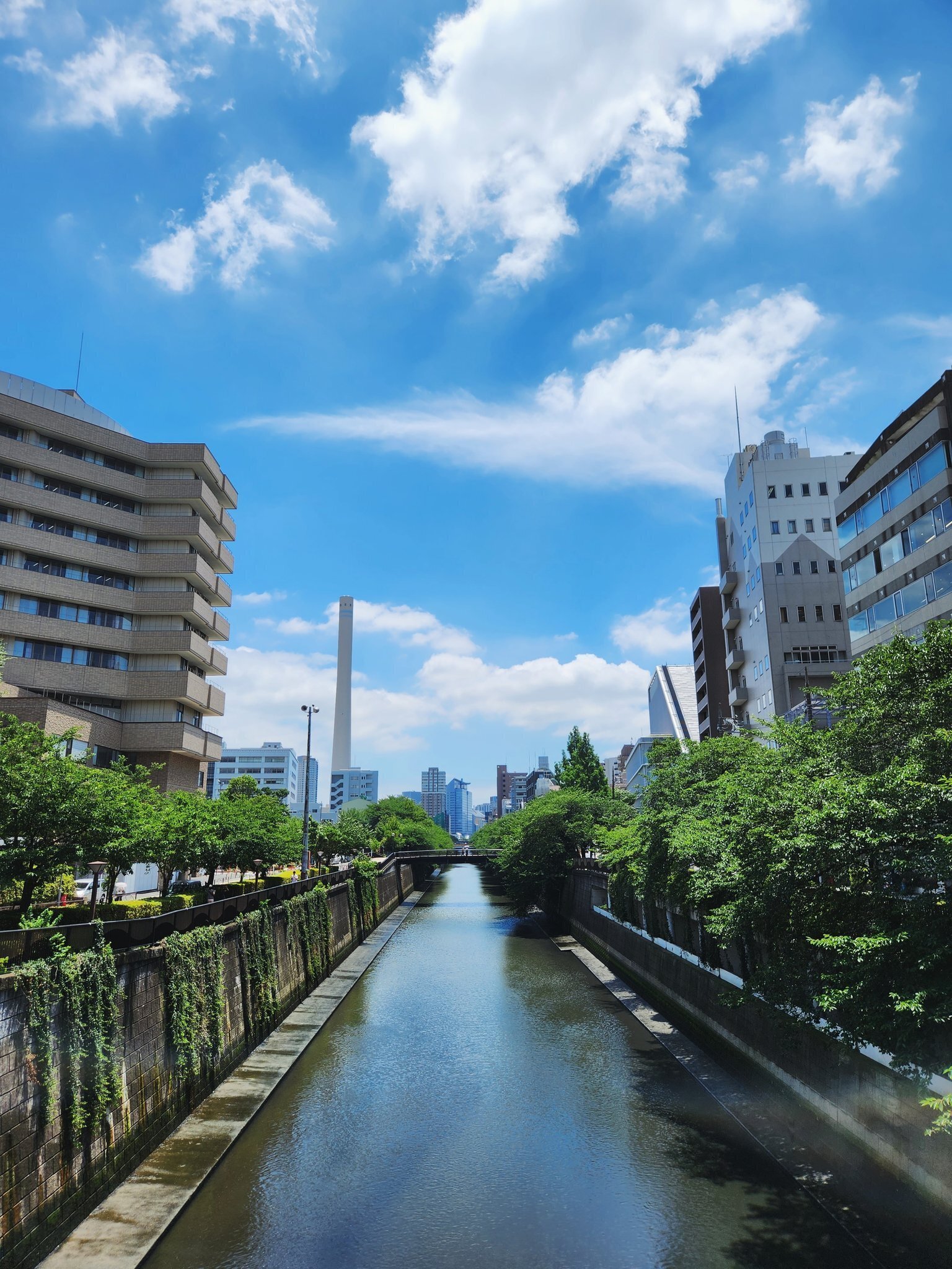 夏空！｜Koki Miyamoto