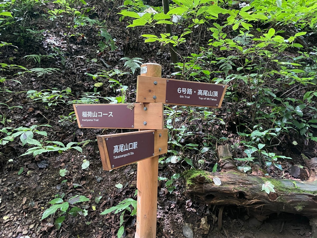 高尾山で裸足登山をやってみた｜tr-kiyo