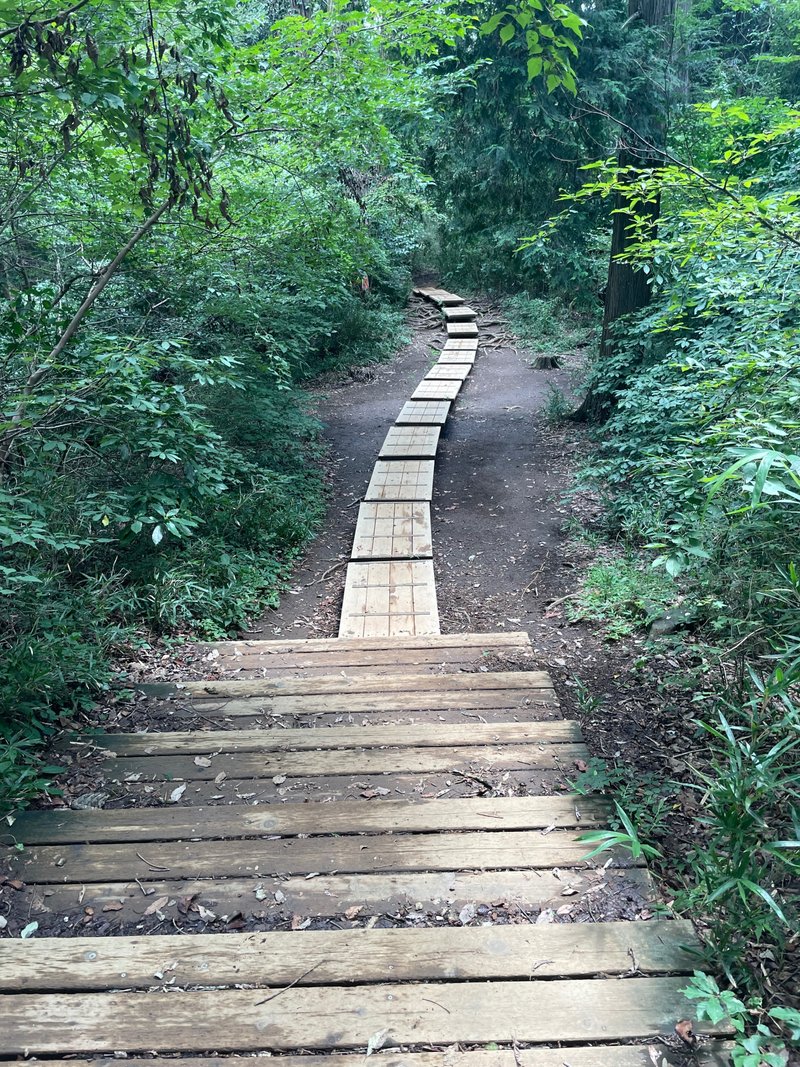 高尾山で裸足登山をやってみた｜tr-kiyo