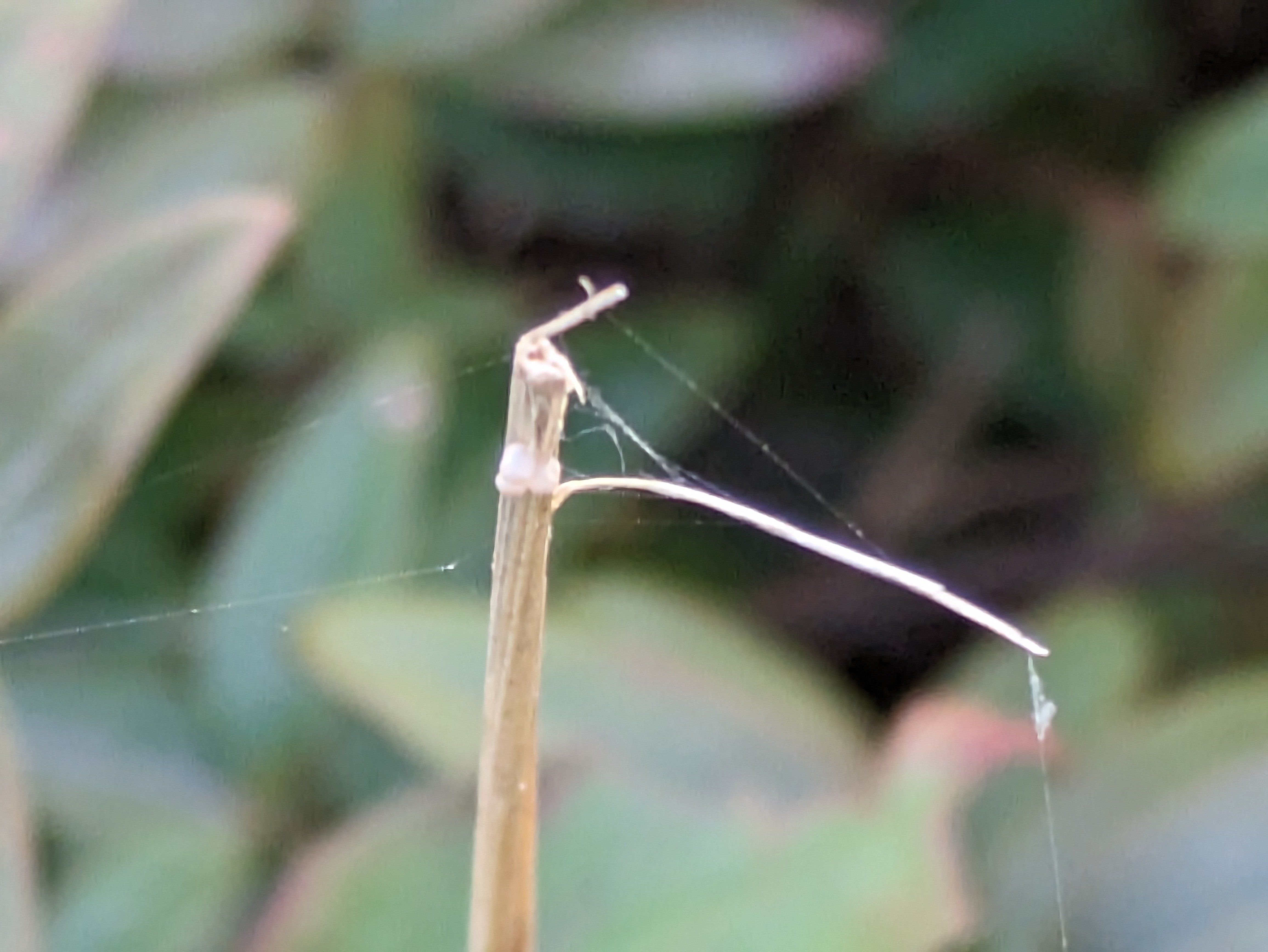 つながる｜ichiro70