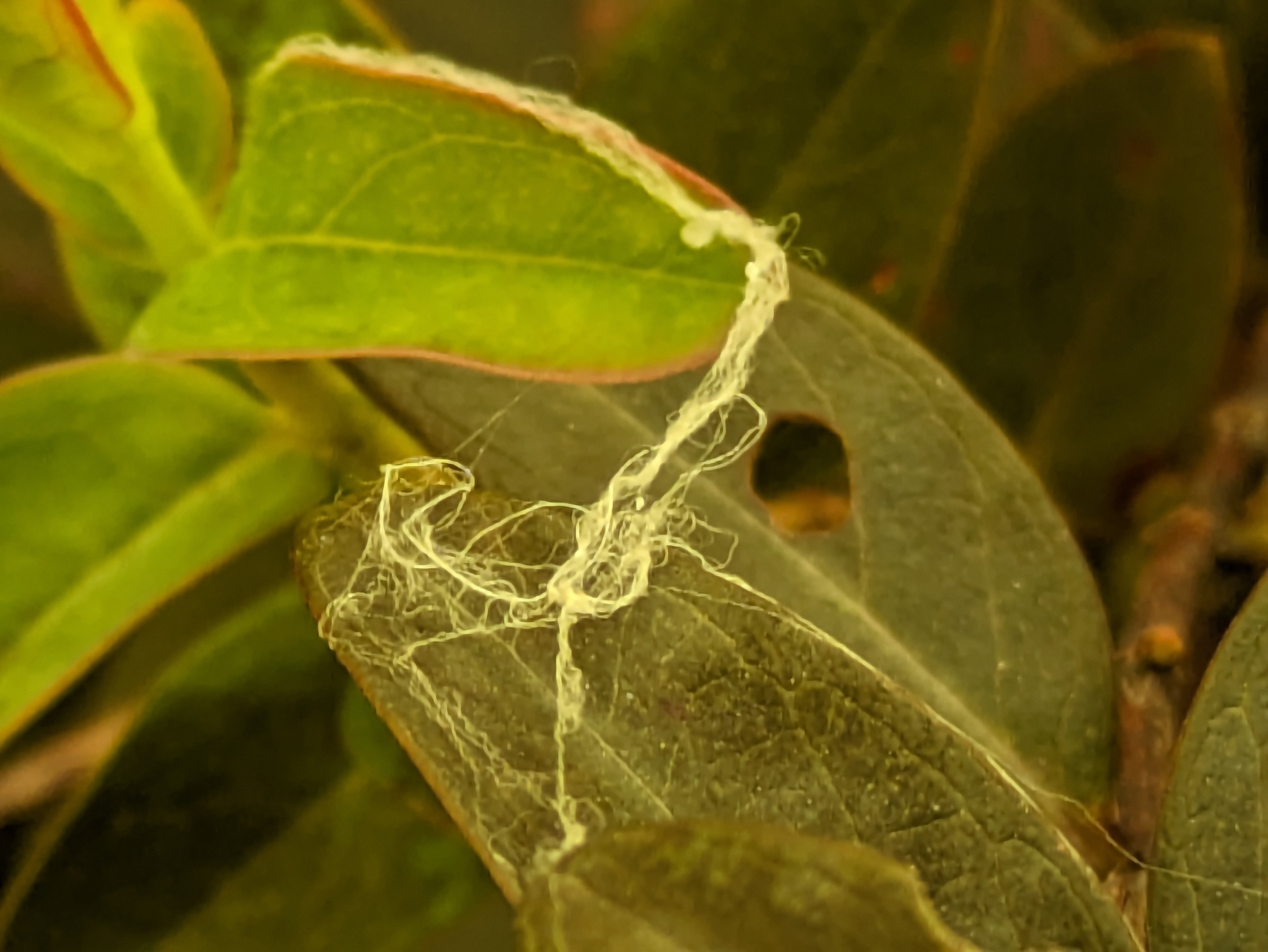 つながる｜ichiro70