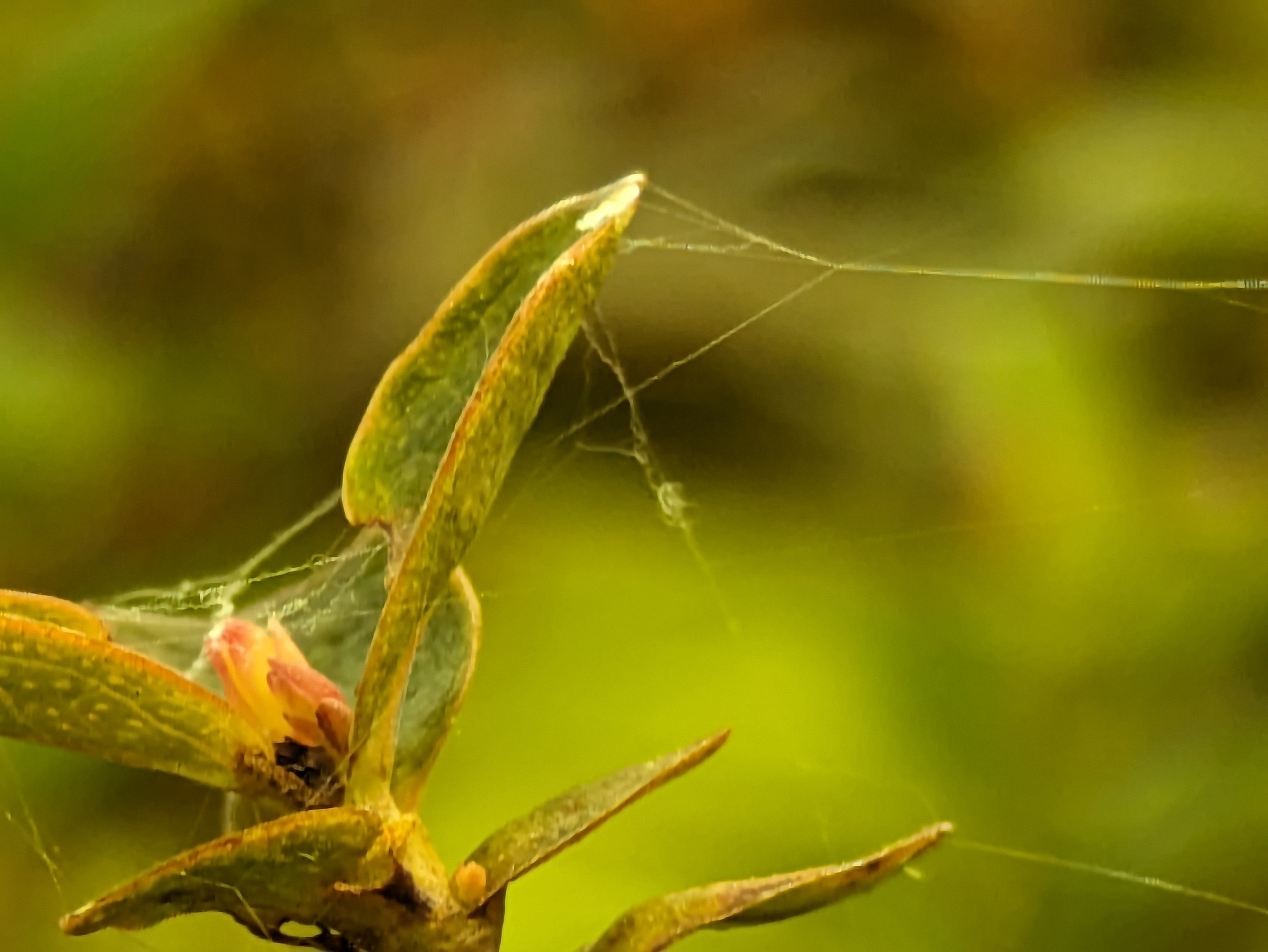 つながる｜ichiro70