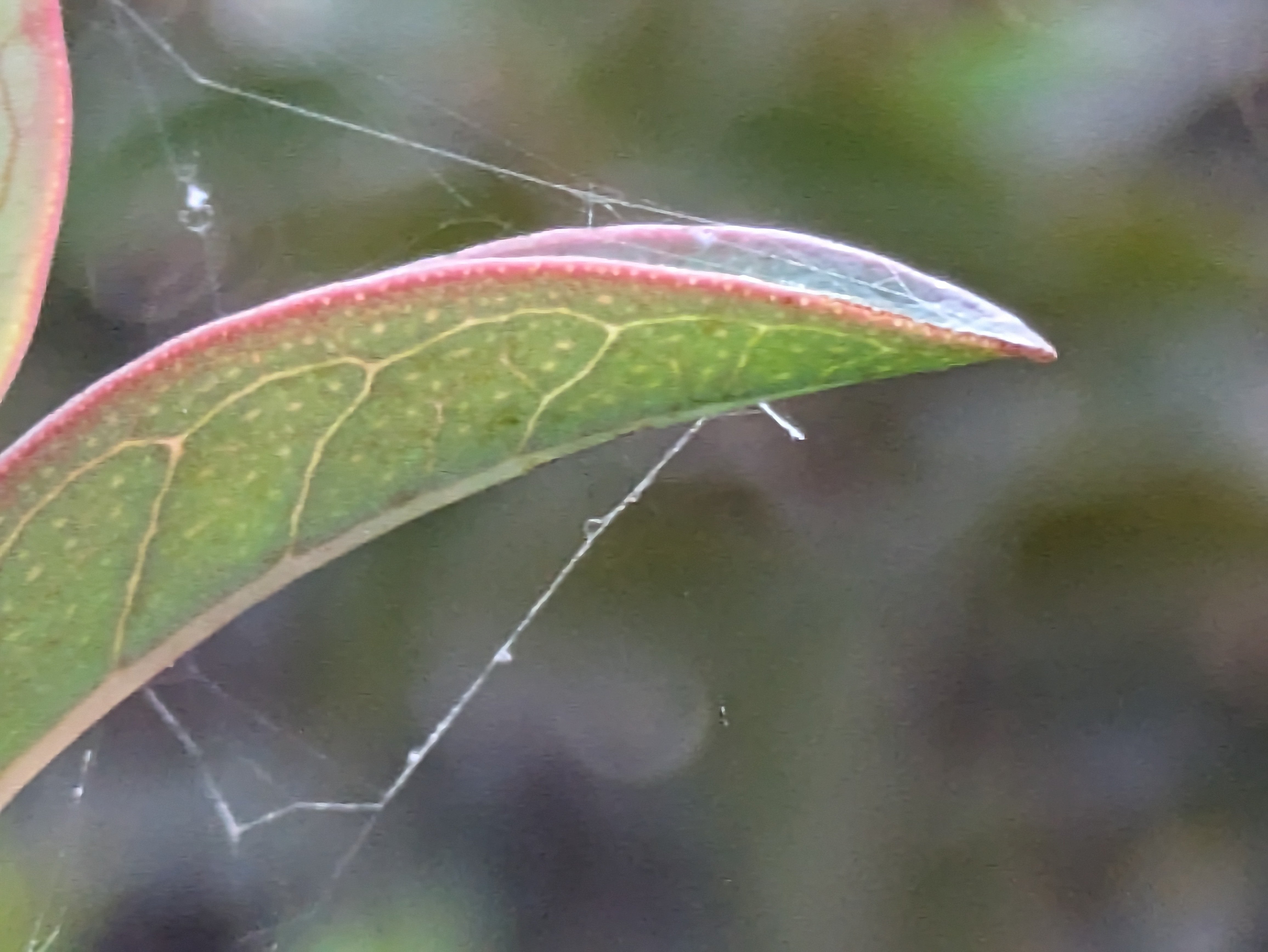 つながる ②｜ichiro70