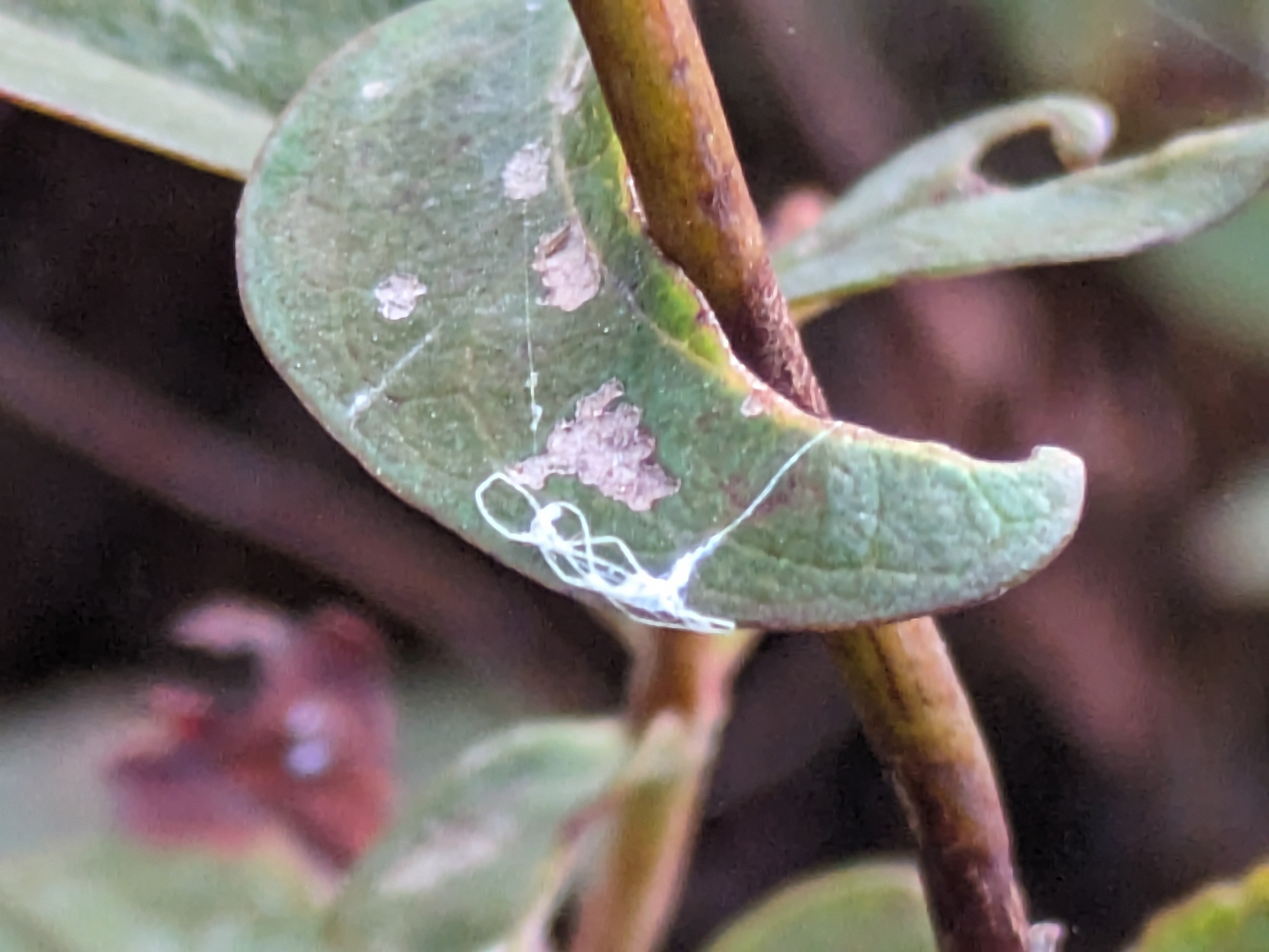 つながる ②｜ichiro70