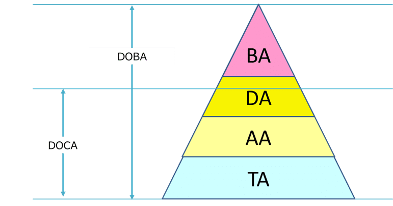 データ中心型ビジネスアプローチ（DxBA 通称DOBA)が日本のITを救う！｜赤俊哉