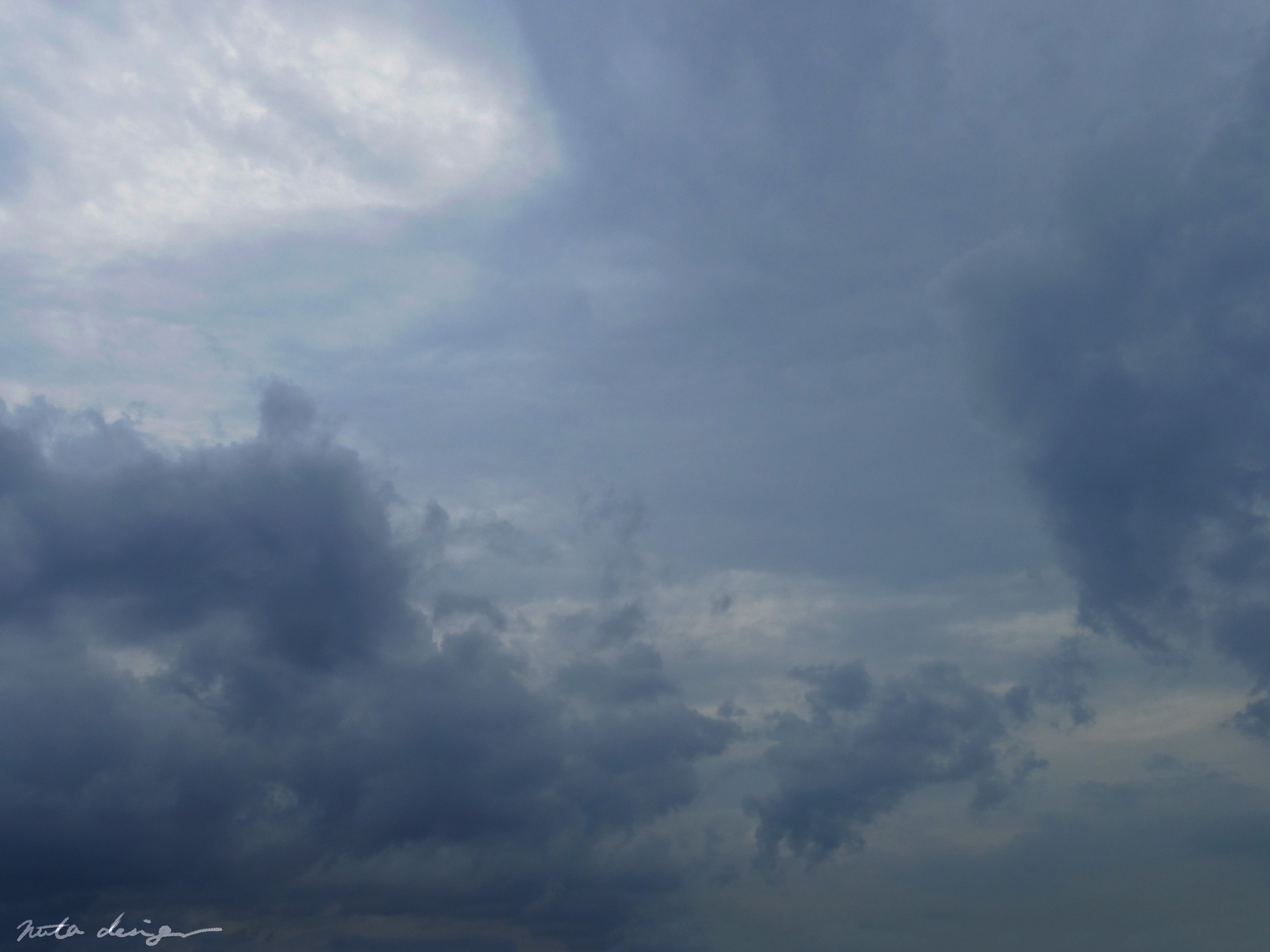 荒れてんなーって｜nuta design