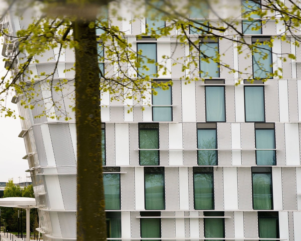 中年のクライシス：Anizine｜ワタナベアニ