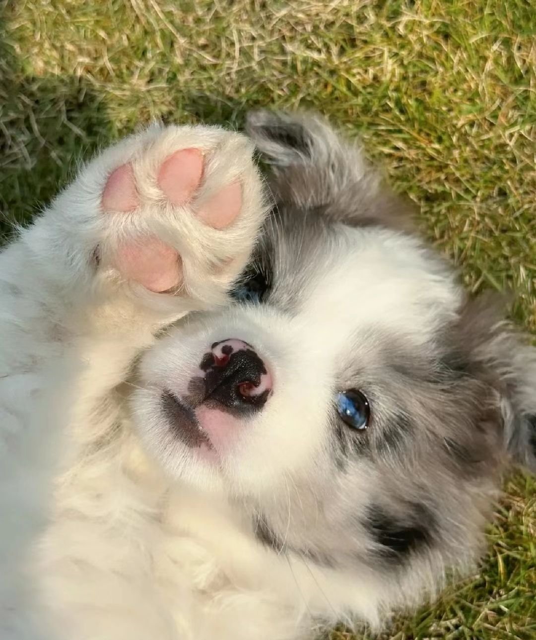 温かい付き添いです。｜Ashun