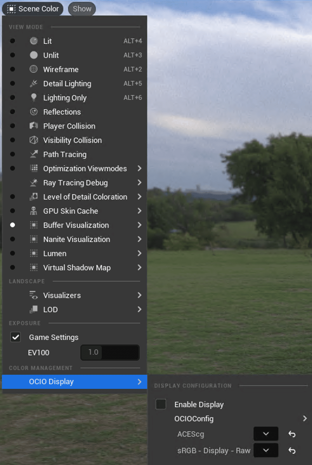 Unreal Engine + OpenColorIOを使ってACEScgのリニアRGB値を取得する｜Tonali / Kojiro Tanaka