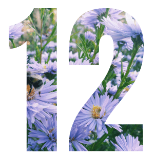 数秘で読む、2023年9月のエネルギー｜RELIANCE-RIE