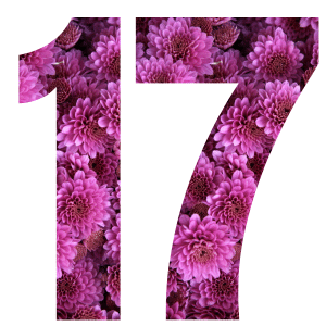 数秘で読む、2023年9月のエネルギー｜RELIANCE-RIE