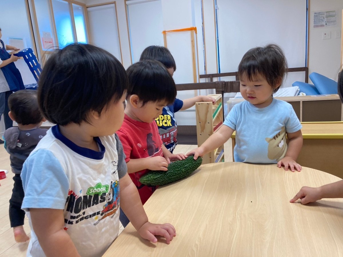 ゴーヤで食育（マフィス白楽ナーサリー）｜Maffice -マフィス- | 保育note