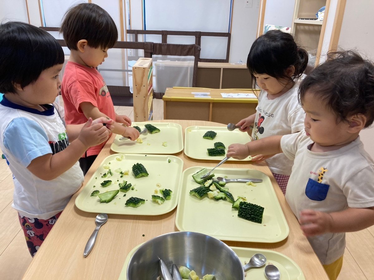 ゴーヤで食育（マフィス白楽ナーサリー）｜Maffice -マフィス- | 保育note