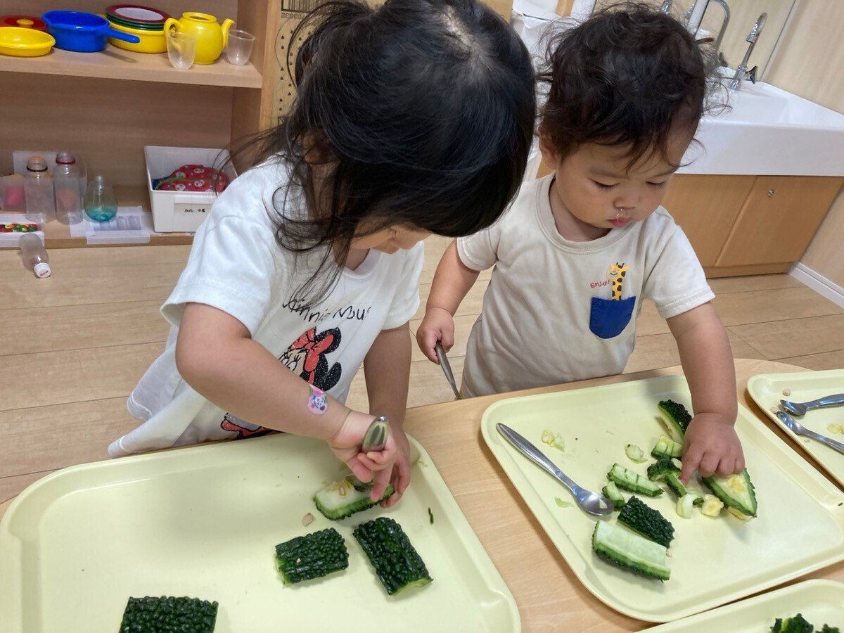 ゴーヤで食育（マフィス白楽ナーサリー）｜Maffice -マフィス- | 保育note