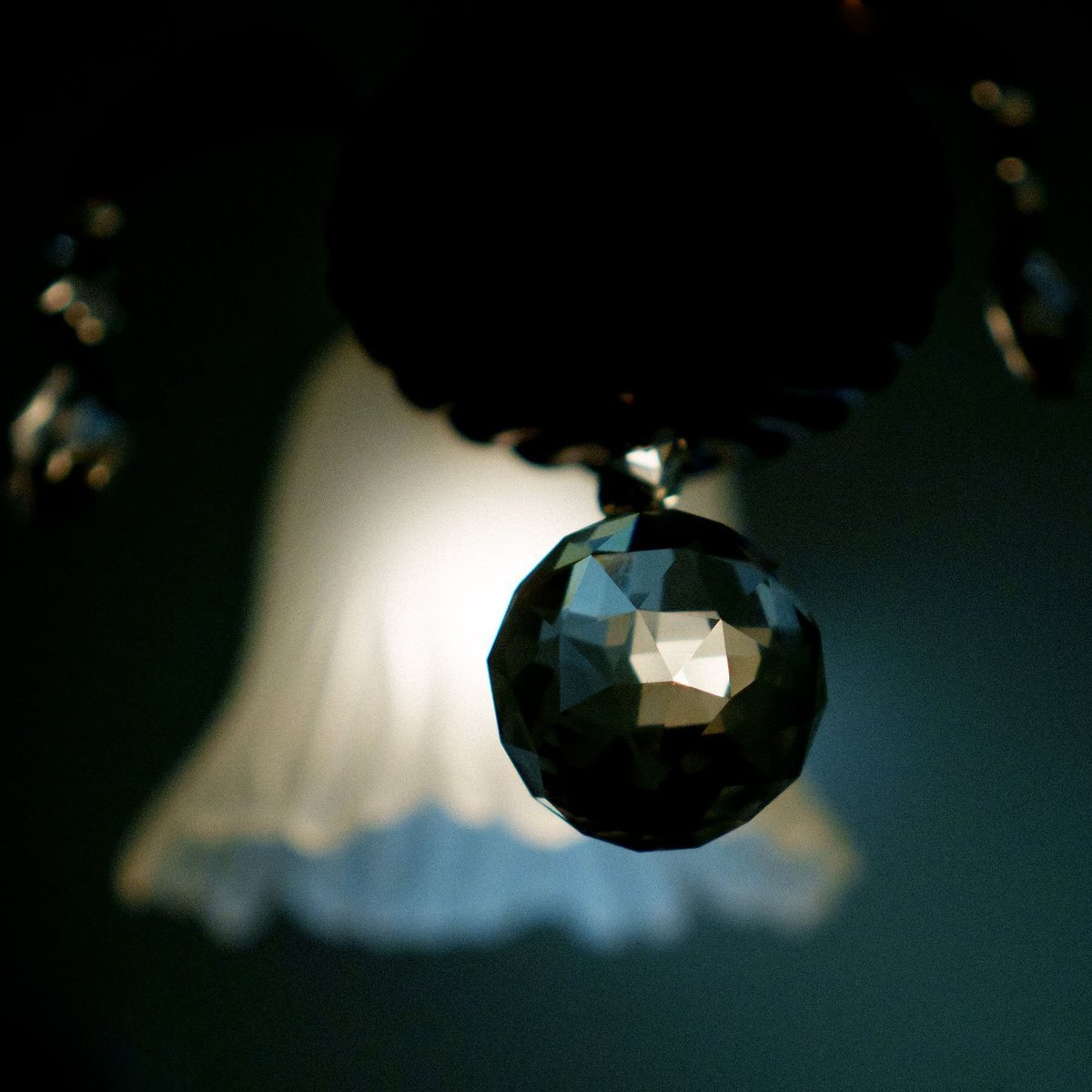 どこに行ったんでしょうね：Anizine｜ワタナベアニ