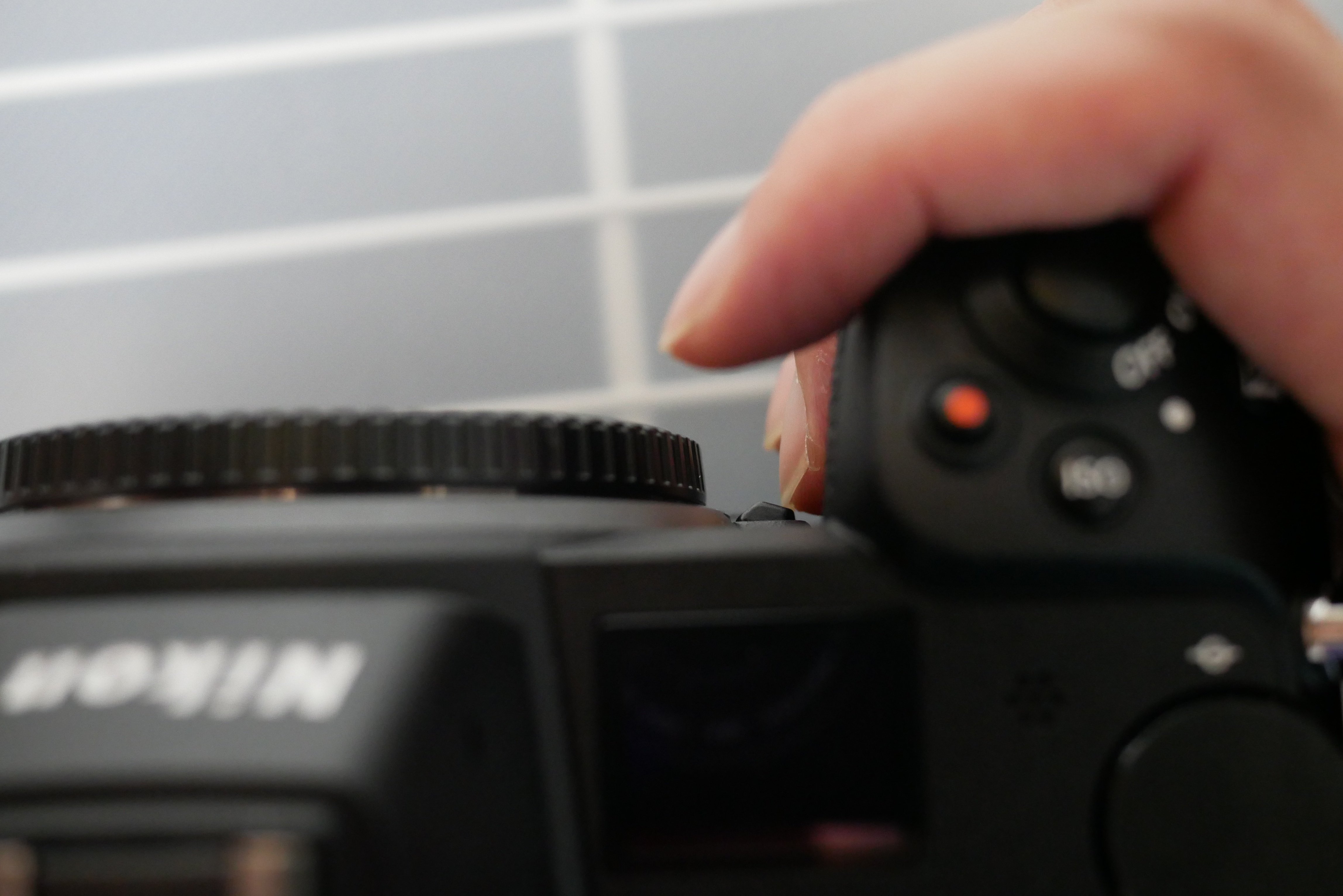 機材レビュー】Nikon Z 6|鷺 機材レビュー】Nikon Z 6|鷺