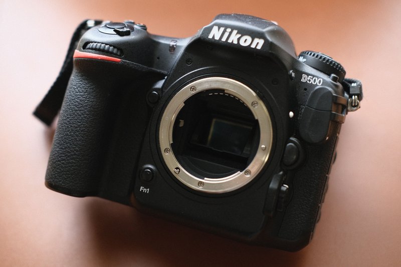 カメラが違えば写りも違う 〜NIKON D500〜｜SUKE【カメラとテクノロジーの話】@WONDEMENT