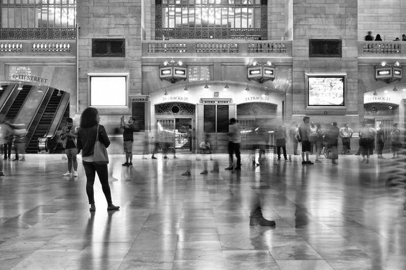 カメラが違えば写りも違う 〜NIKON D500〜｜SUKE【カメラとテクノロジーの話】@WONDEMENT