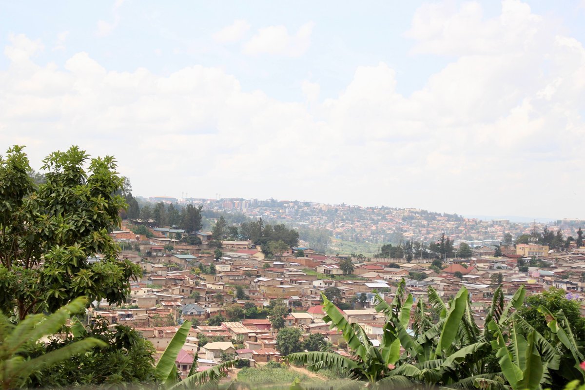 「Humankind希望の歴史」| 新米ママの読書感想文①｜Iwashi｜新米ママのよくばり奮闘記