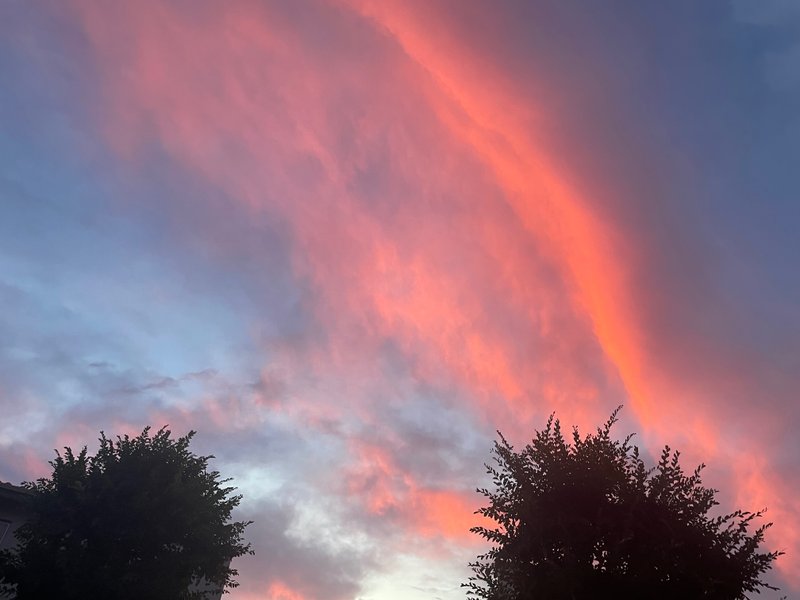 凹凸っ子とのワクワクライフ♪｜conoco