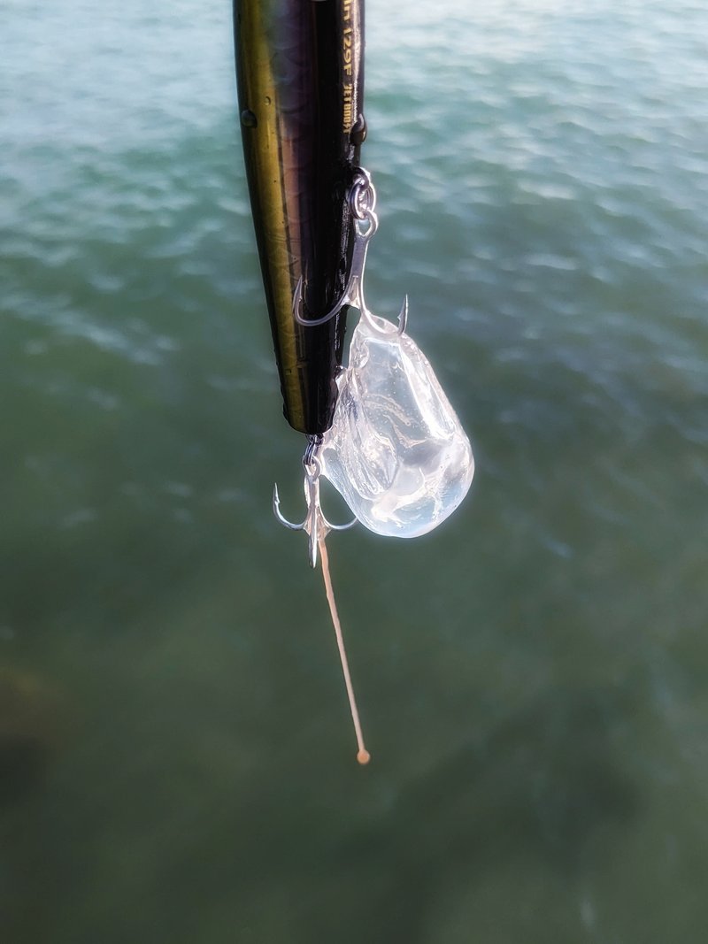 InstagramのリールとYouTubeショートを、noteに埋め込む方法｜kako-jun