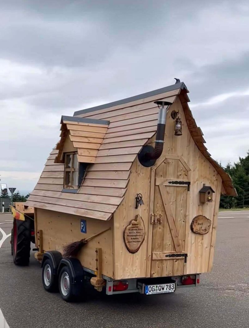 大自然に触れた人の脳が驚くほど活性化する訳｜shanthi-usui