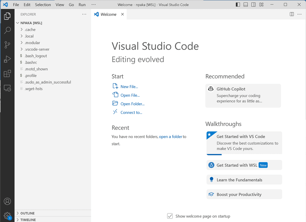 Mojo入門 (1) - 事始め｜npaka
