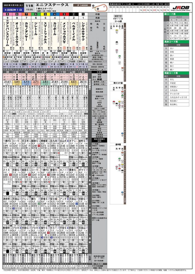 9/9（土）阪神11R エニフS 赤木の予想｜JRDB 競馬アラカルト