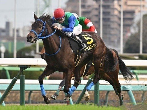 【京成杯AH（G3）】～予想篇｜Haya