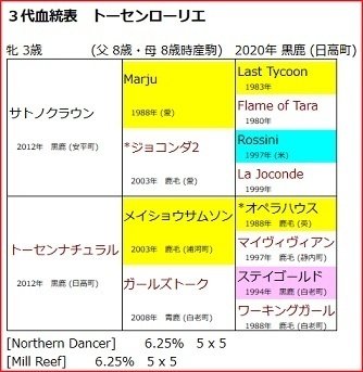 【京成杯AH（G3）】～予想篇｜Haya