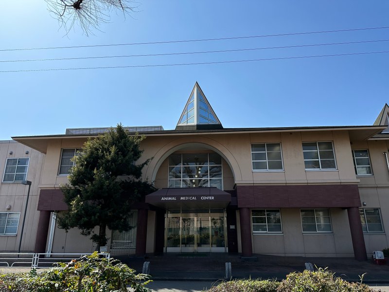 こなつチャンネル(40)どこ行くの？｜NicePapa 平野 尚志