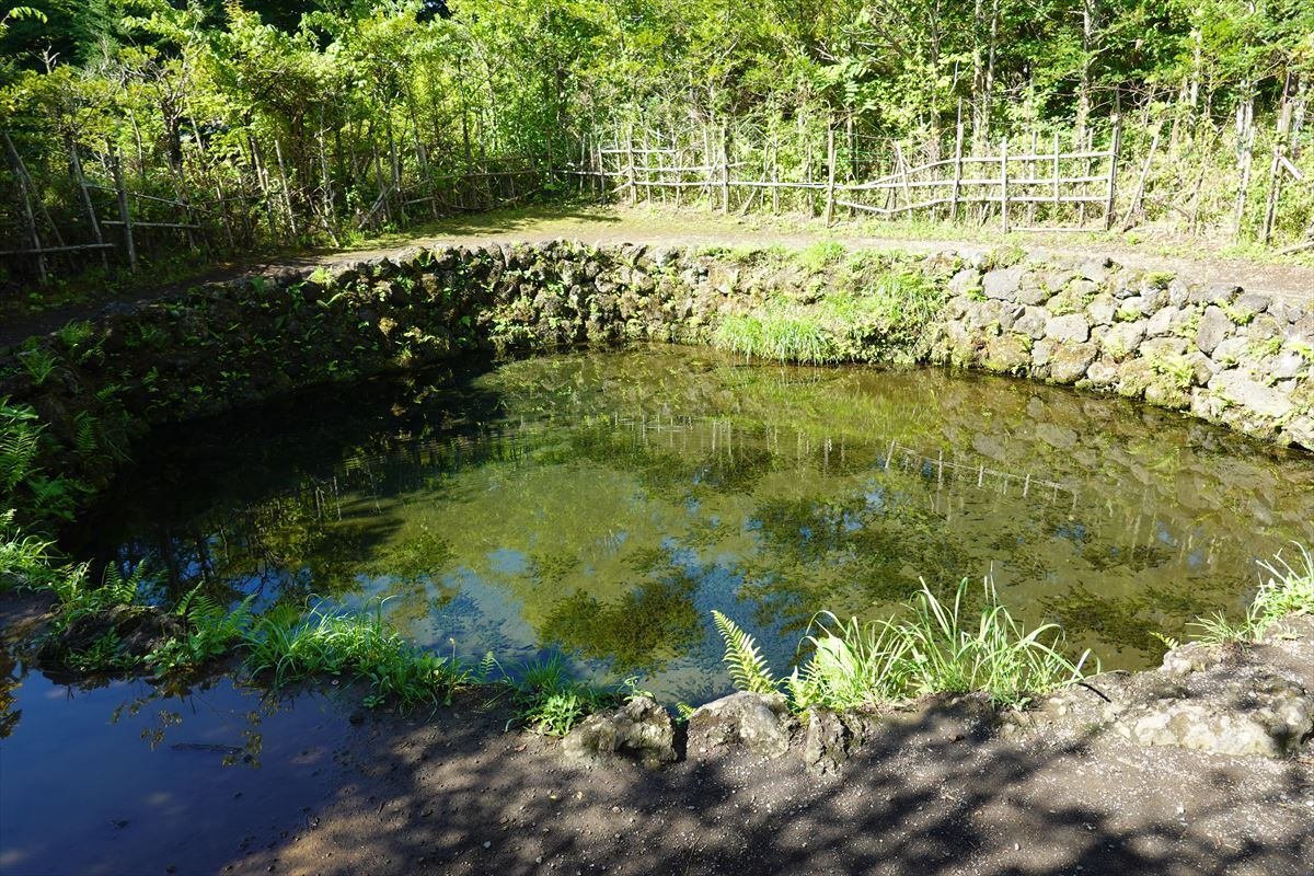 透明感バツグン！忍野八海で禊の巡礼 国内旅行記・山梨編Vol.1｜Tsuchinoco